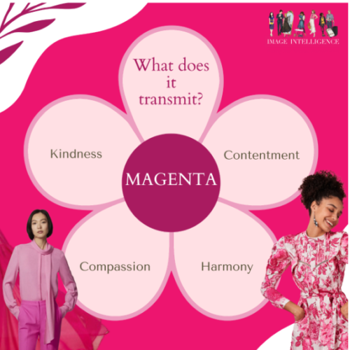 Viva Magenta - The Color of The Year - Image Intelligence